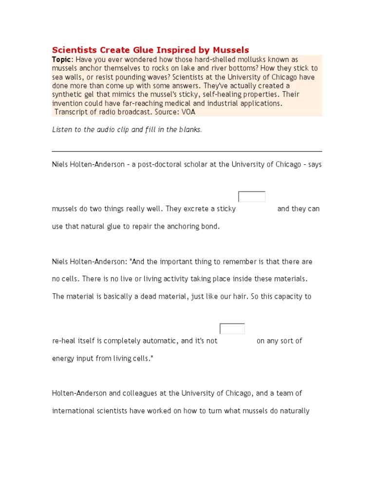 Scientists Create Glue Inspired by Mussels | PDF | Adhesive | Metals