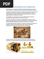 Putrefaccion y Fases | PDF | Descomposición | Especialidades Medicas