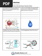 Video Recap of Osmosis by Amoeba Sisters Answer Set | PDF | Osmosis ...