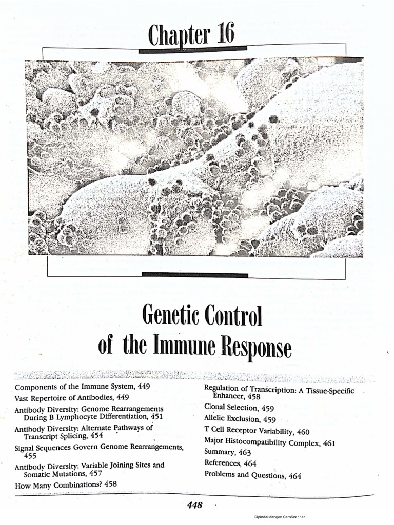 (Gardner) - (Snustad) Kontrol Genetik Respon Imun | PDF | Antibody | Gene