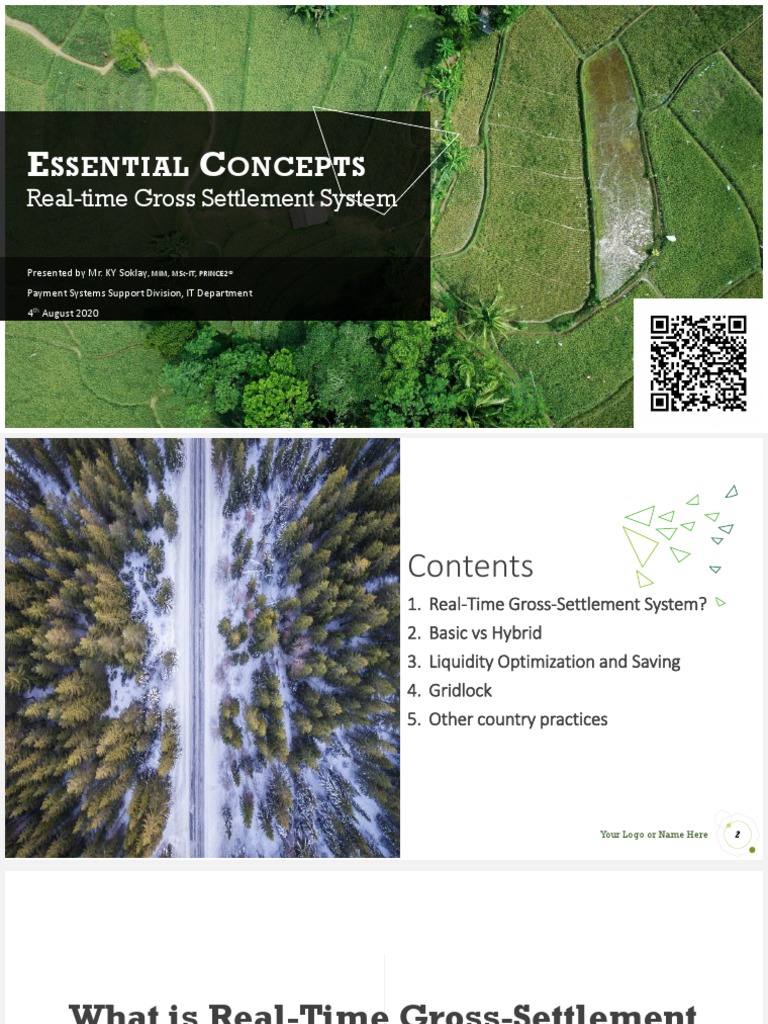 RTGS Essential S-Ky 2020 | PDF | Financial Technology | Finance & Money ...