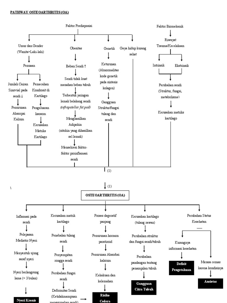 Pathway Osteoarthritis | PDF