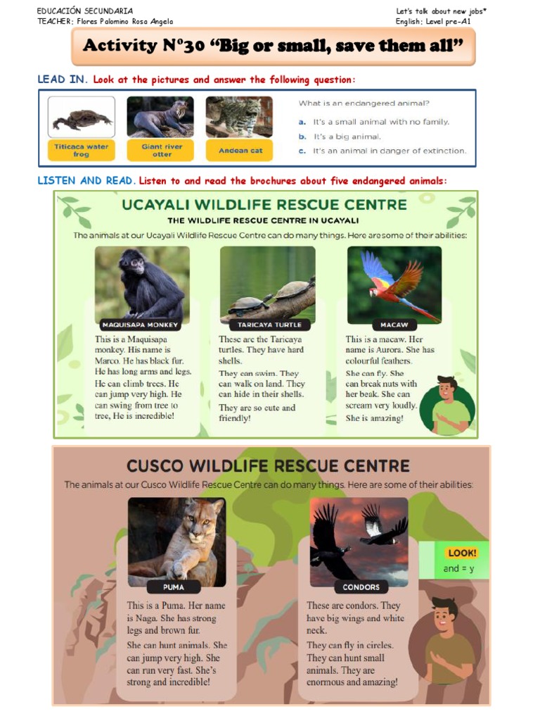 Create a Brochure for Endangered Animals | PDF | Cetaceans | Dolphin
