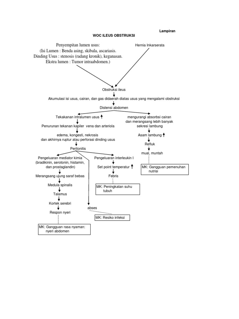 Woc Ileus Obstruksi Acc PDF | PDF