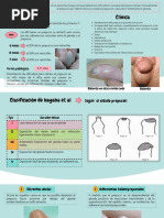 Test de Patrick | PDF | Rodilla | Articulaciones