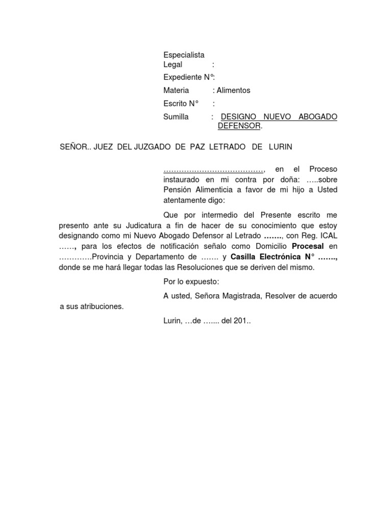 Designo Nuevo Abogado Defensor | PDF