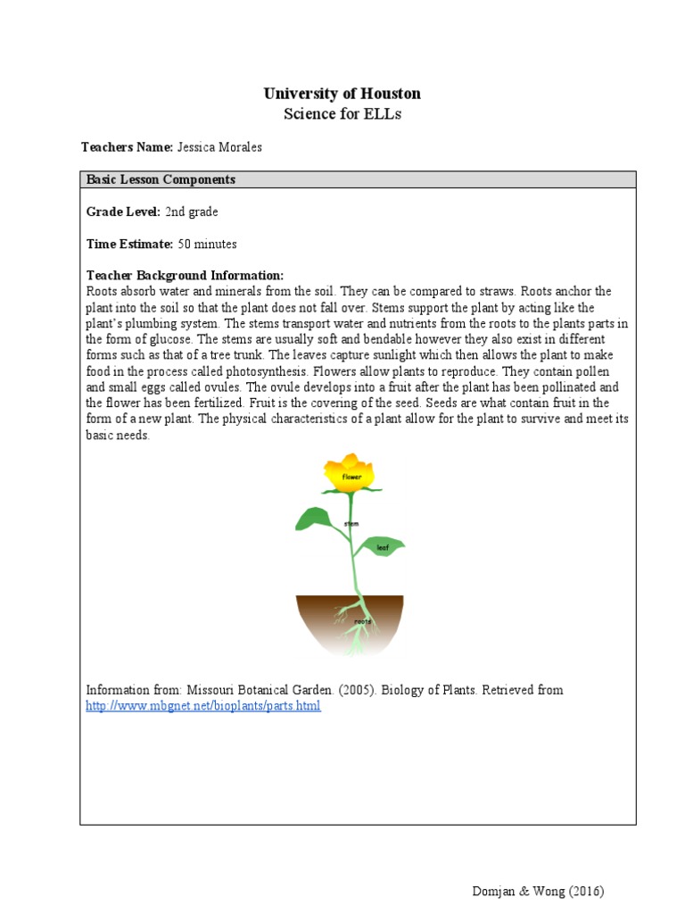 Jessicamorales 5elessonfinal | PDF | Flowers | Plants