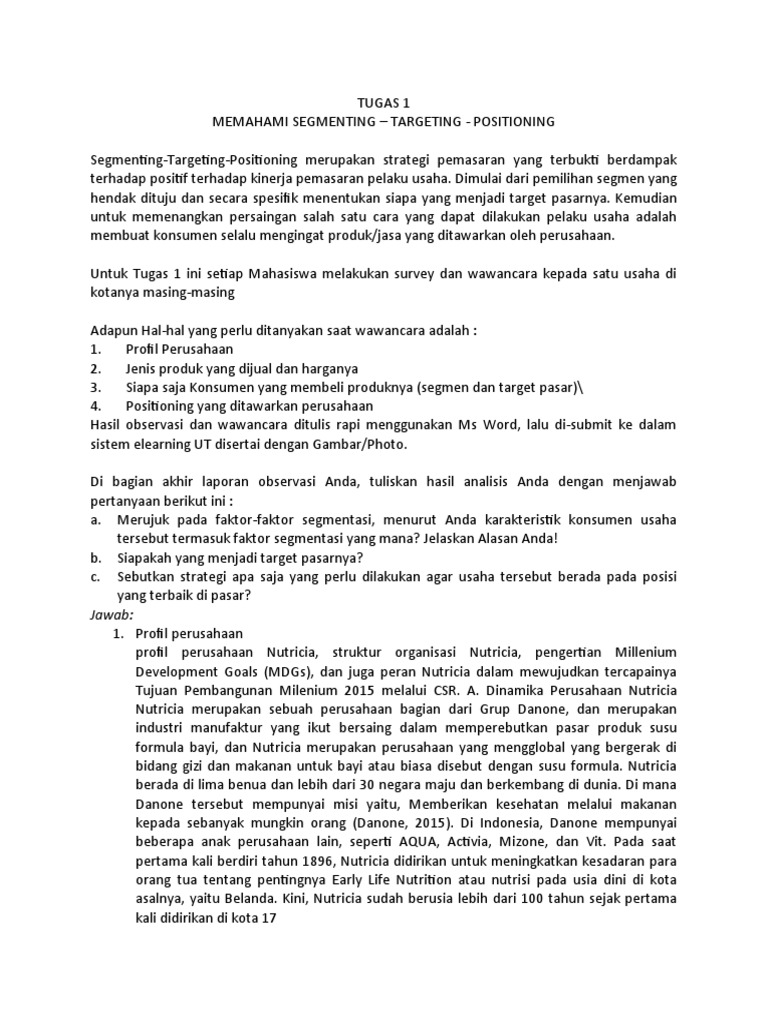 TUGAS 1 - Memahami Segmenting-Targeting-Positioning | PDF | Karier ...