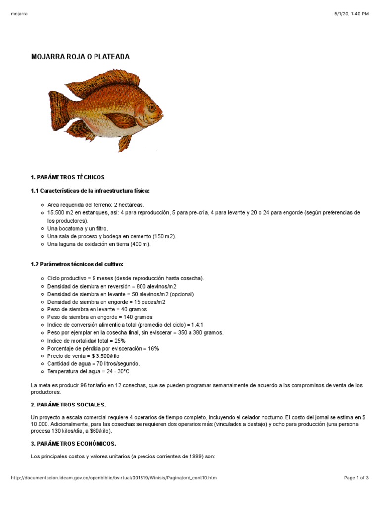 Cultivo de mojarra roja o plateada: parámetros técnicos y económicos ...