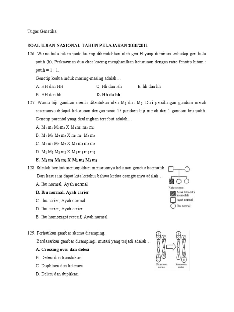 Soal Genetika | PDF