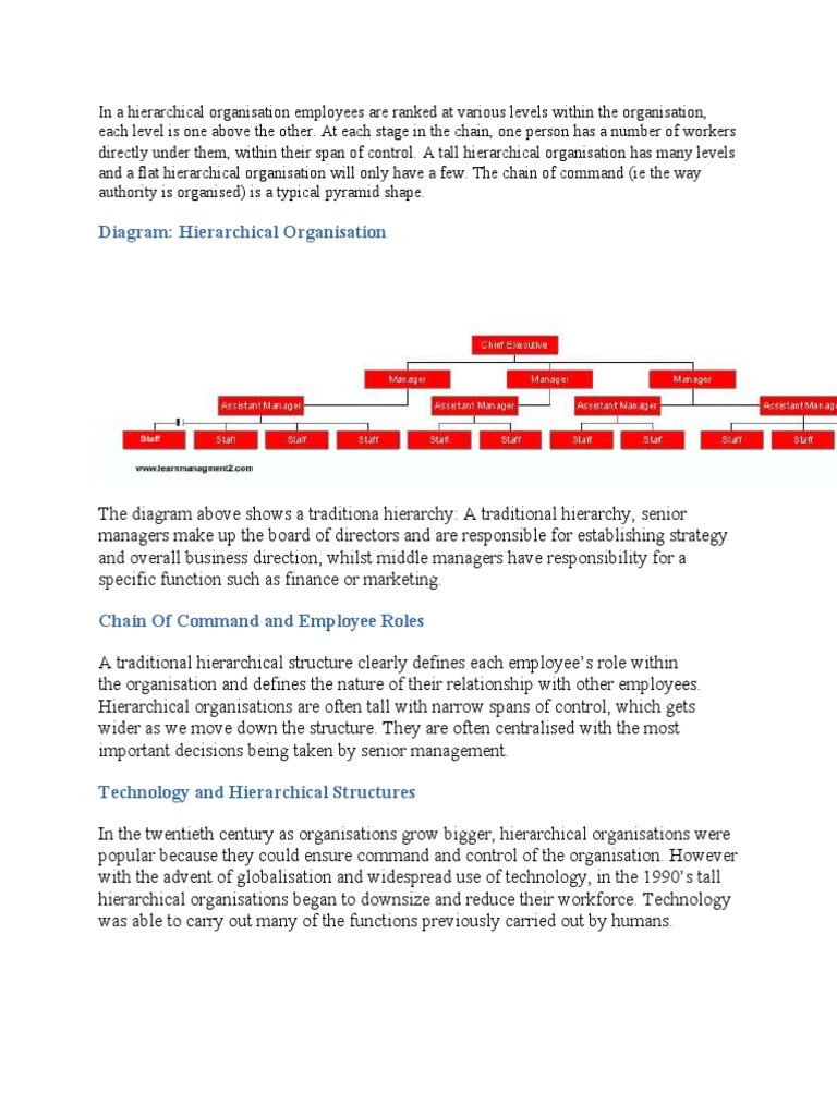 Hierarchical Org Structure Explained | PDF | Hierarchy | Policy