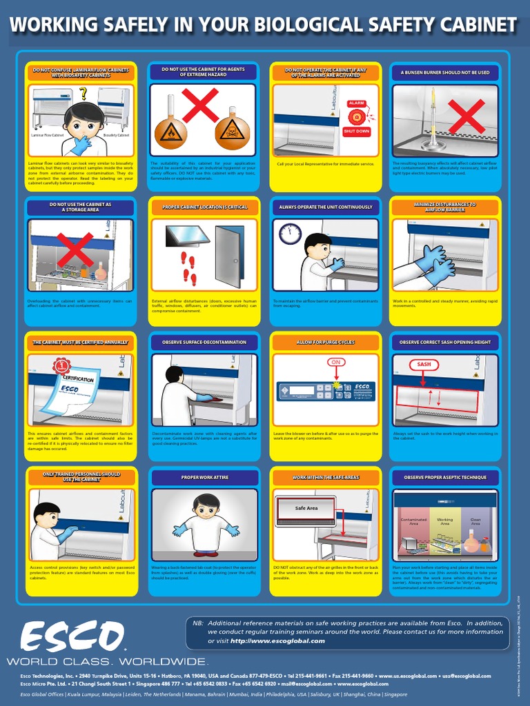Working Safely in Your Biological Safety Cabinet | Download Free PDF ...