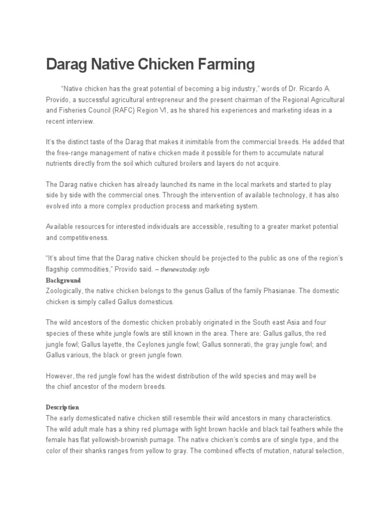 Darag Native Chicken Farming1 | PDF | Chicken | Feather