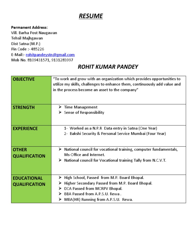 Rohit Resume | PDF