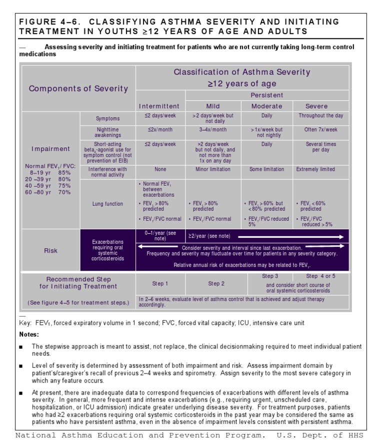 Asthma Classification | PDF | Asthma | Intensive Care Unit