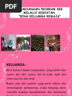 Quick Win Kemendukbangga 2025 | PDF