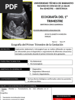 Clasificacion de Grannum | PDF | Placenta | Parto