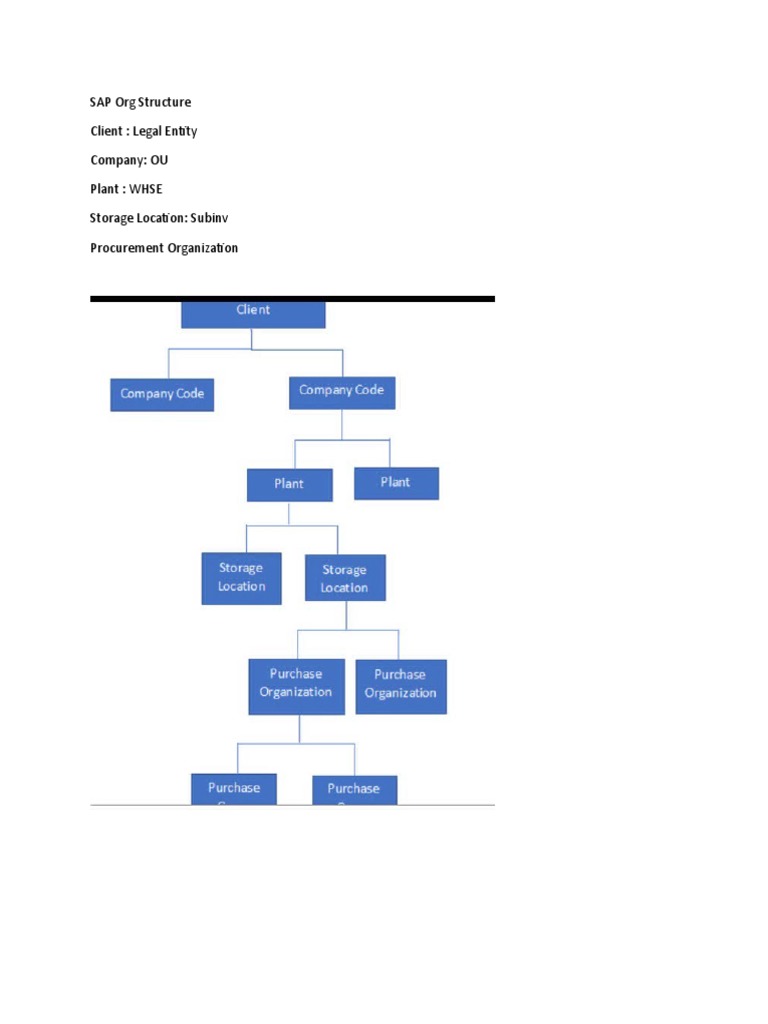 SAP Organizational Structure Overview | PDF