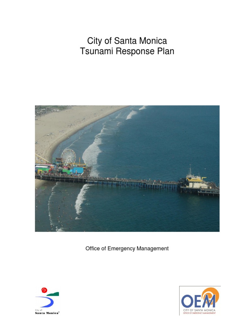 Oem Tsunami Response Plan | Download Free PDF | Tsunami | National ...
