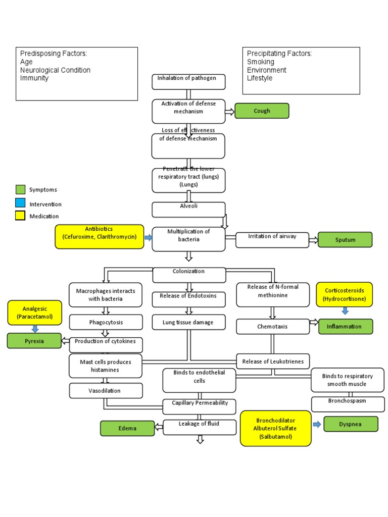 Predisposing Factors: Age Neurological Condition Immunity Precipitating ...