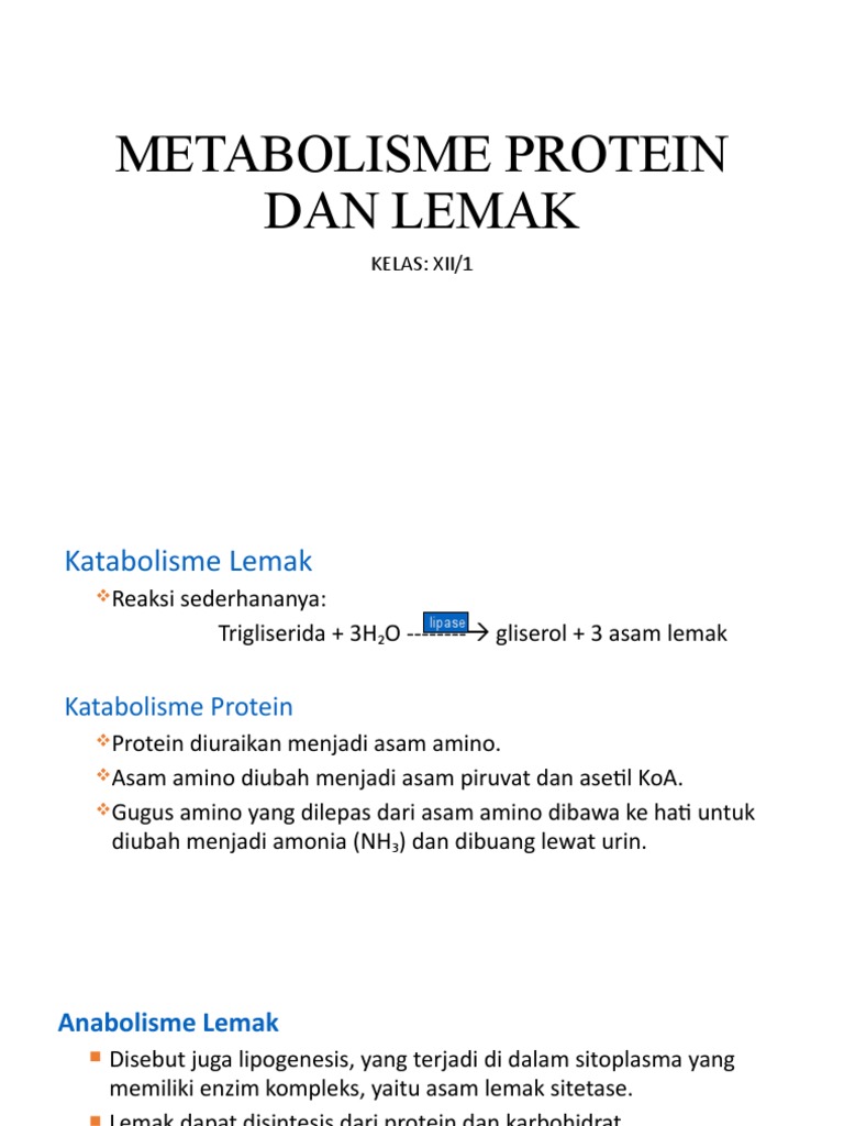 Metabolisme Protein Dan Lemak | PDF | Sains & Matematika