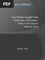 Meridian Paru Paru | PDF