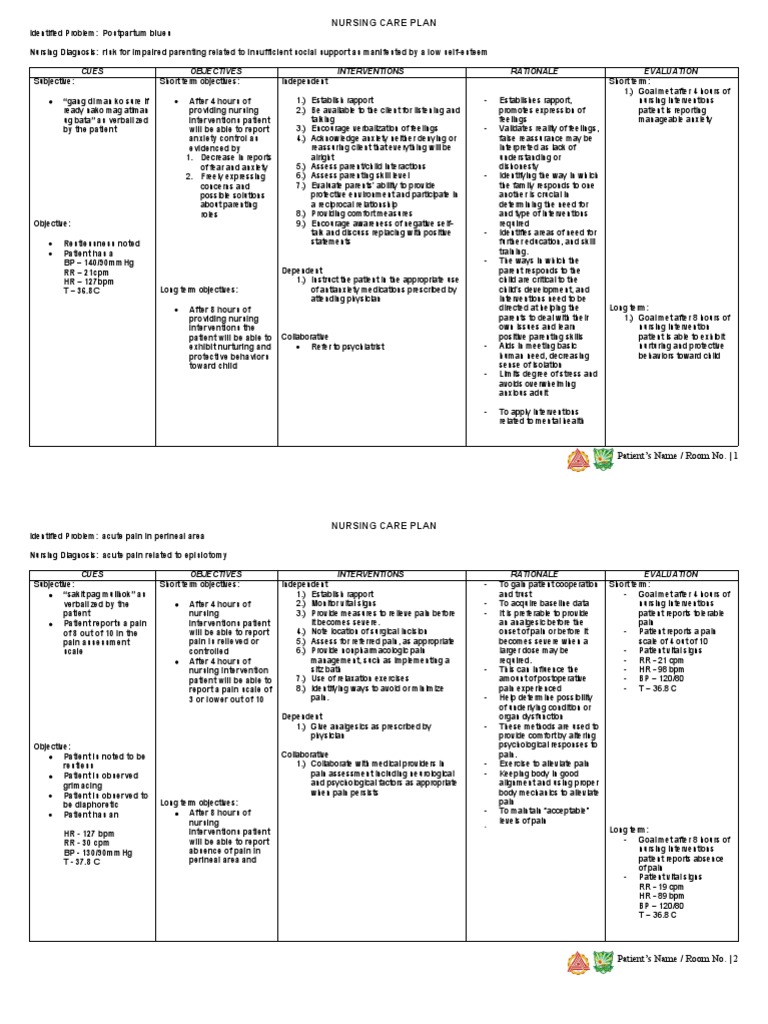 OB Nursing Care Plan | PDF | Pain | Therapy