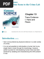 ForensicSerology (Student Version) | PDF | Blood Type | Blood