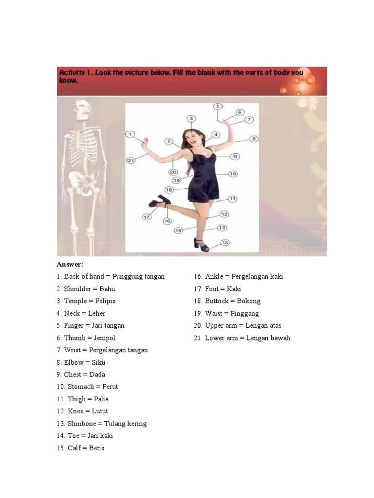 Body Parts Translations in Indonesian | PDF | Sports & Recreation ...