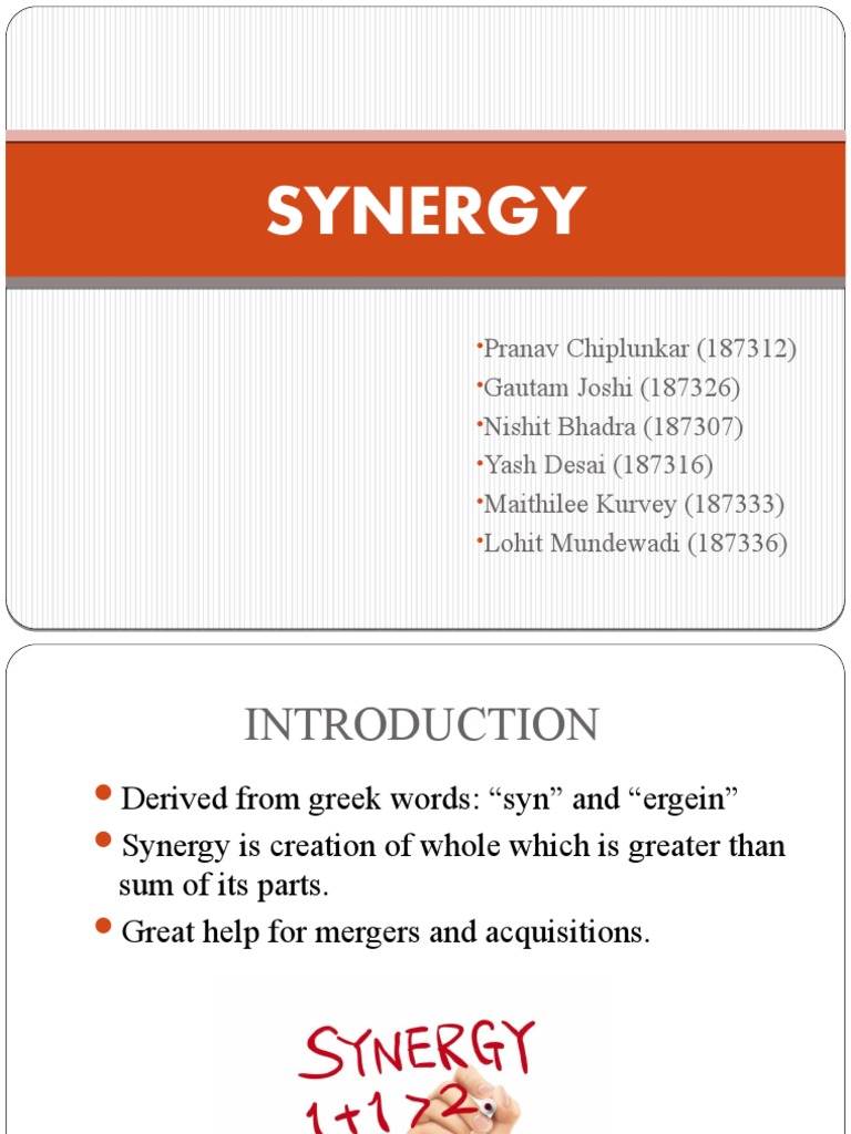 Synergy | PDF | Goal | Evaluation