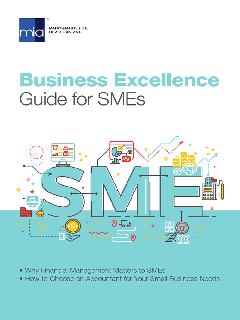 Business Excellence: Guide For Smes | PDF | Balance Sheet | Accountant