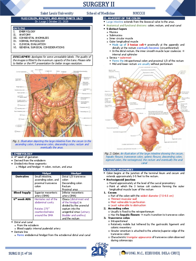 Saint Louis University School of Medicine Mmxxii: Dr. Laygo - October ...