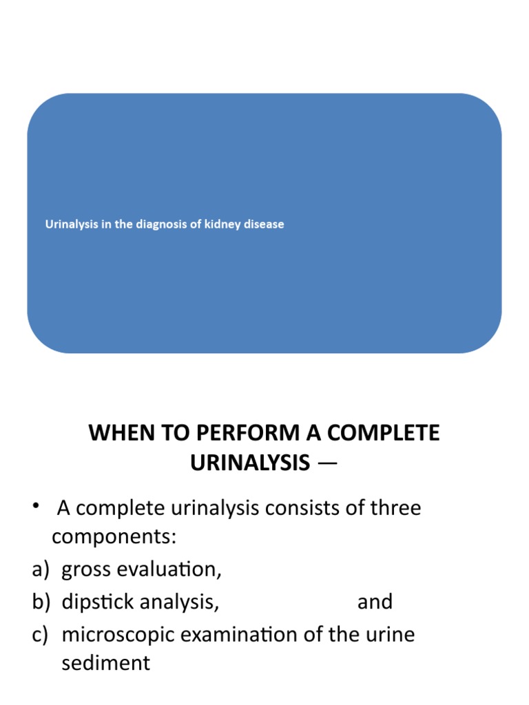Urine Analysis | PDF | Urine | Kidney