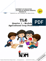 Sdo Aurora Tle10 Afa-Acp q4 m1 | PDF | Vegetables | Fruit