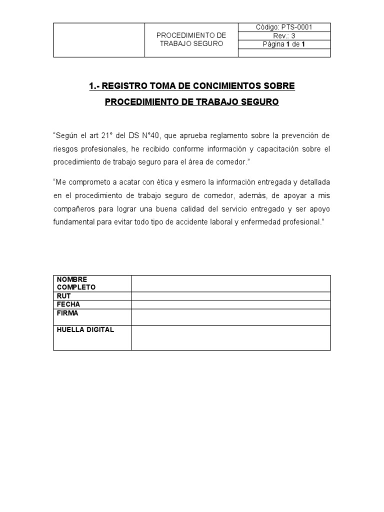 Formato Registro PTS Comedor | PDF