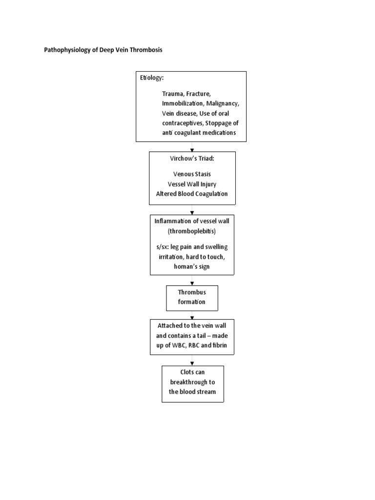 Pathophysiology of Deep Vein Thrombosis | PDF