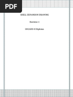 Shell Expansion Plan | PDF