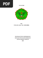 Laporan Kasus Contusio Cerebri | PDF