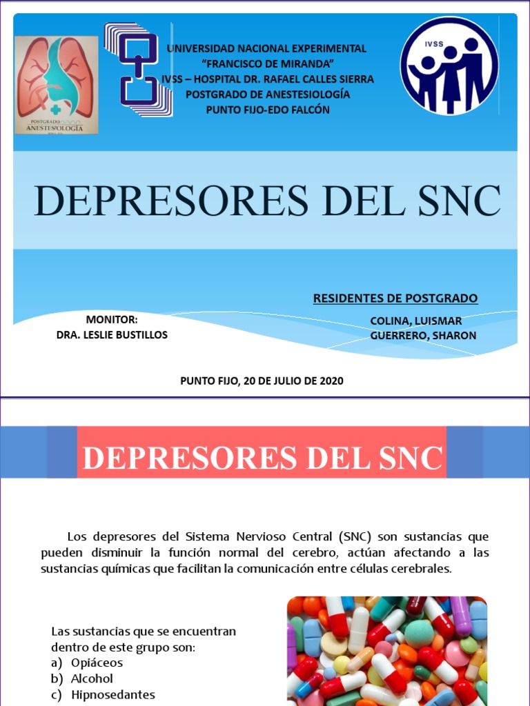 Depresores Del SNC | PDF