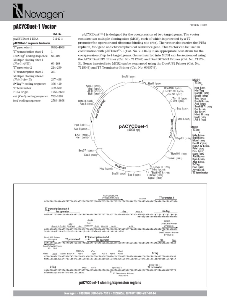 PACYC Map | PDF | Vector (Molecular Biology) | Molecular Cloning