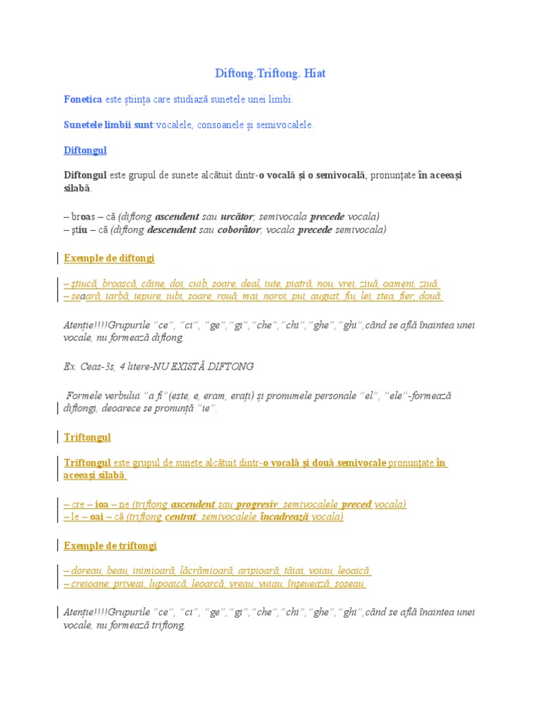 Schema Lectiei | PDF