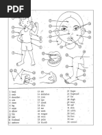 Trivia Questions For Debutant | PDF