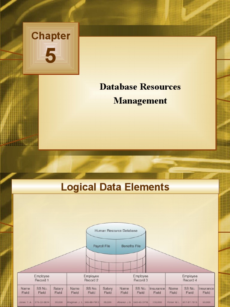 Database Resources Management | PDF | Databases | Relational Database