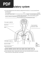 Respiratory System Cut and Paste PDF | PDF | Foreign Language Studies