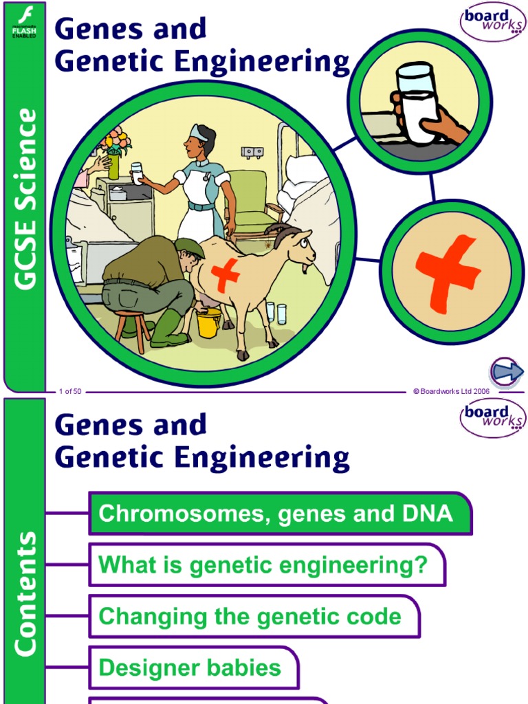 Genes and Genetic Engineering v2.0 | PDF | Base Pair | Genetic Engineering