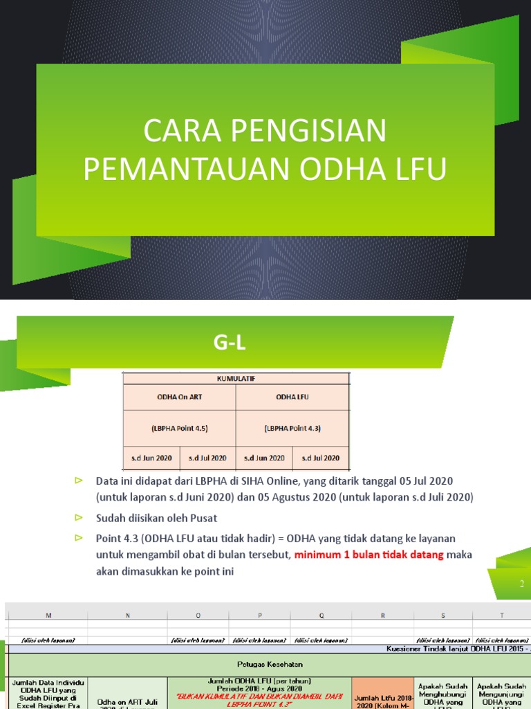 Panduan Pengisian Pemantauan ODHA LFU | PDF