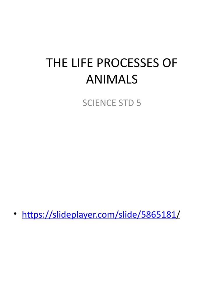 The Life Processes of Animals | PDF