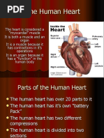 miniiSED Operator's Manual (English) | PDF | Blood | Medical Specialties