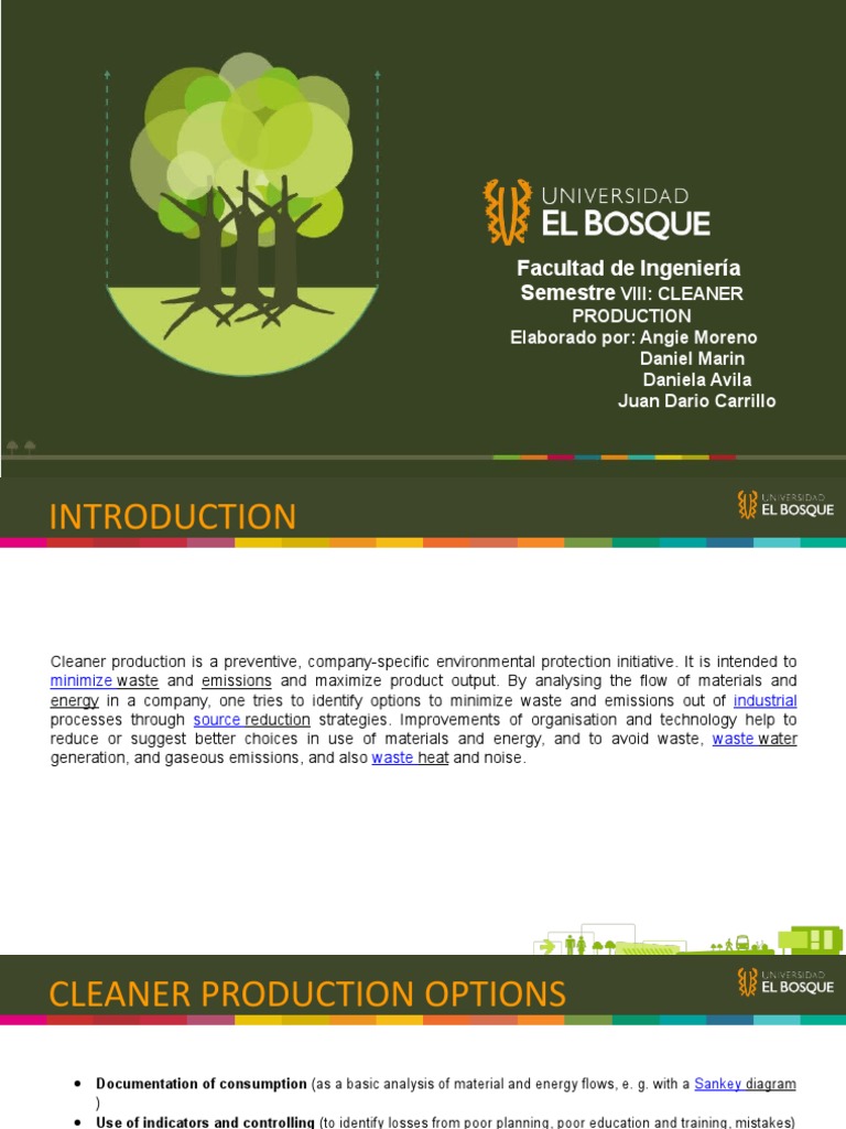 Implementing Cleaner Production Strategies: A Case Study of Process ...