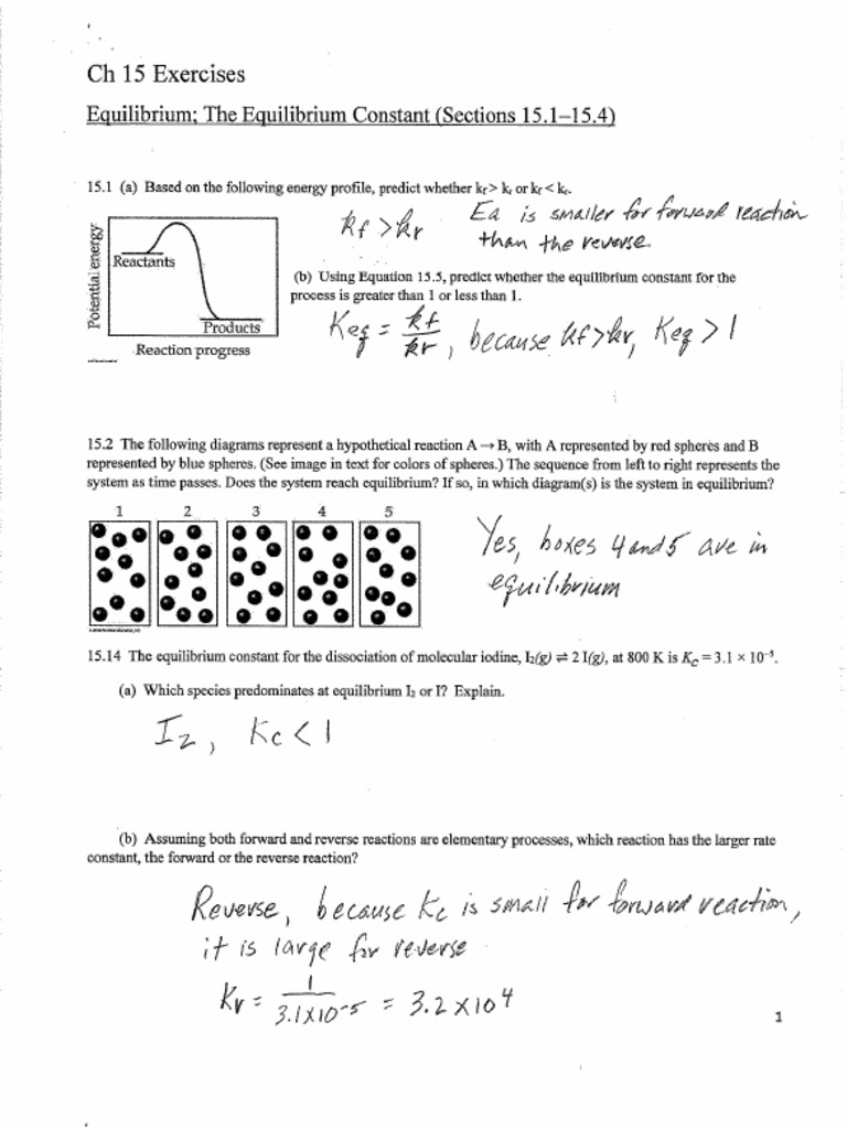 Exercise 15 Answers | PDF